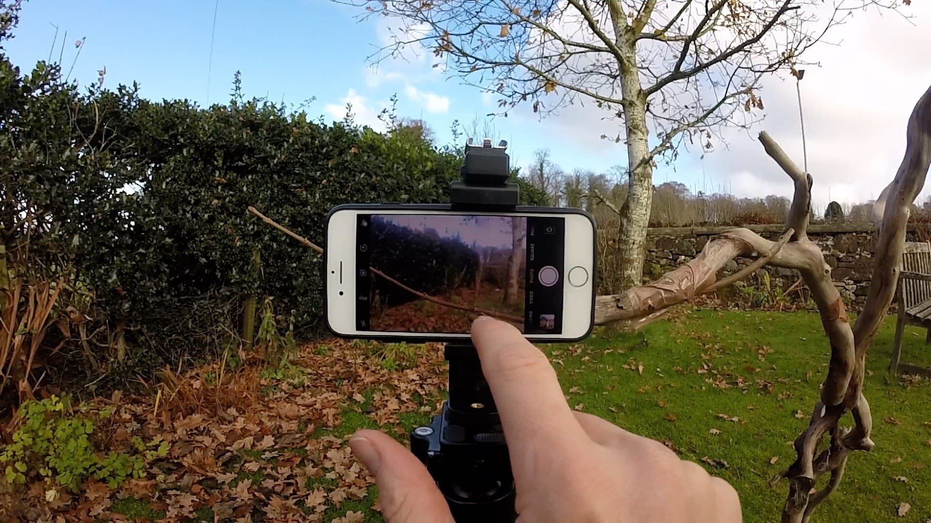 Wildlife Photography with an iPhone - espenhelland.com