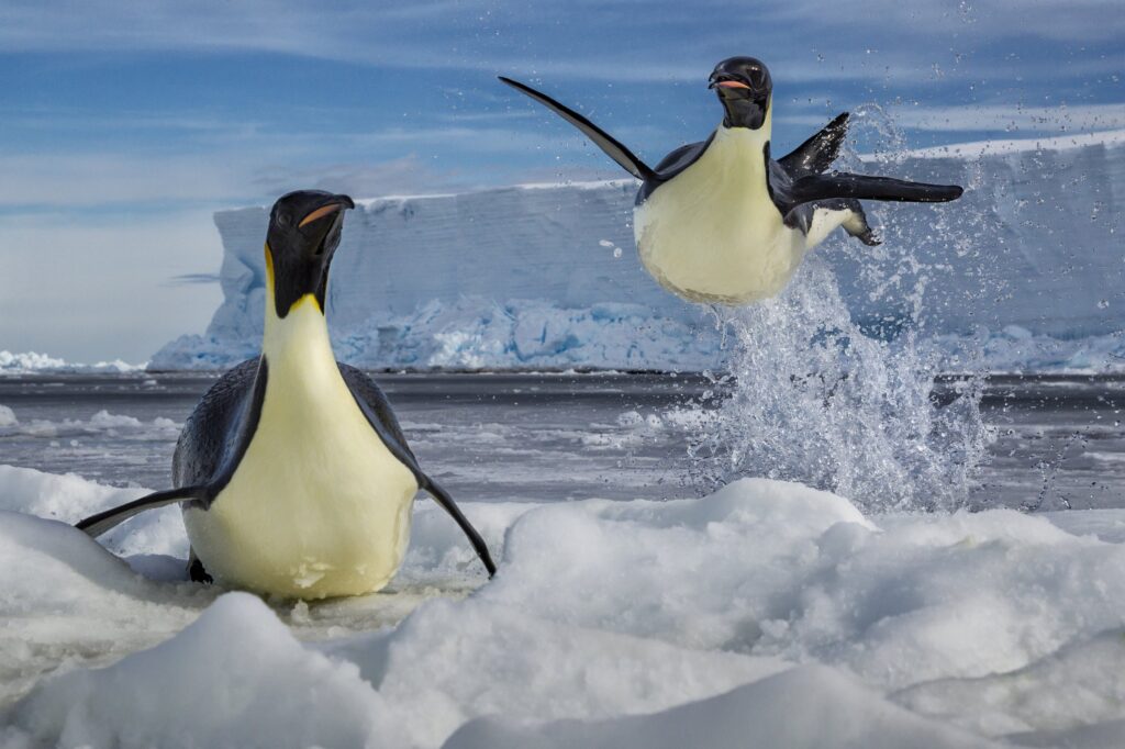 Blog - espenhelland.com