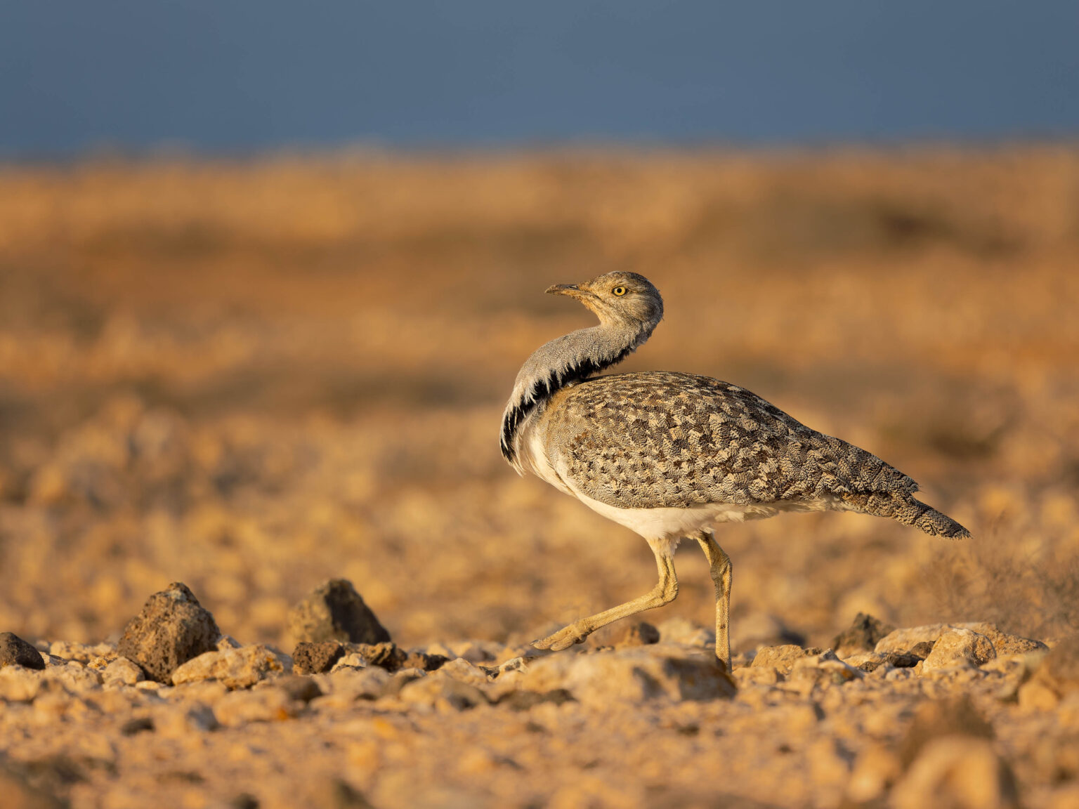 Blog - espenhelland.com