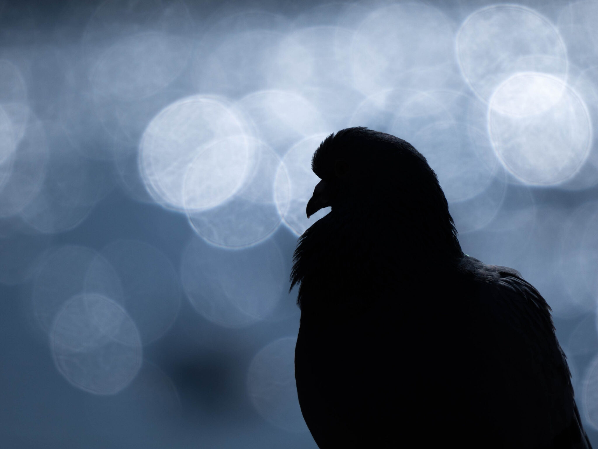 Blog - espenhelland.com